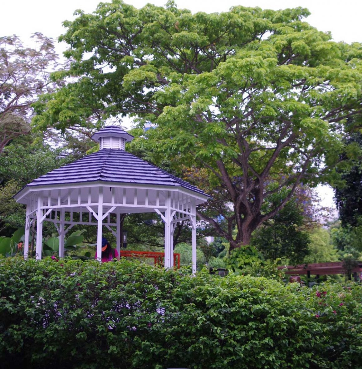 HortPark Singapore - Exploring The Gardening Hub in Singapore