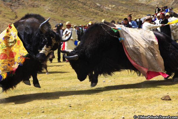Qinghai Tour: 13 Best Things to Do in Qinghai