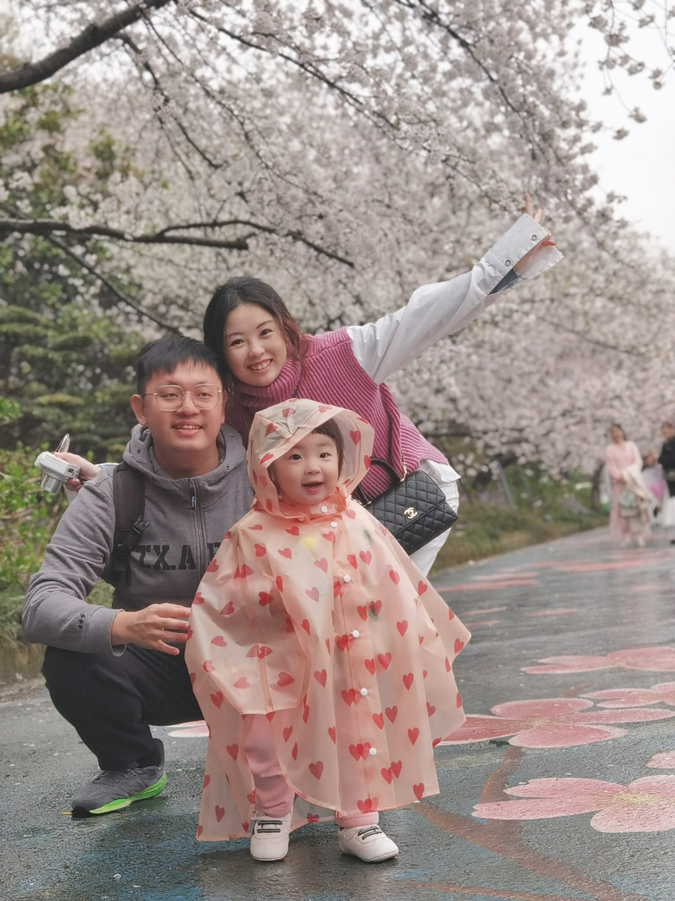 Yuantouzhu Cherry Blossom Park: Discover Wuxi’s Hidden Sakura Wonderland