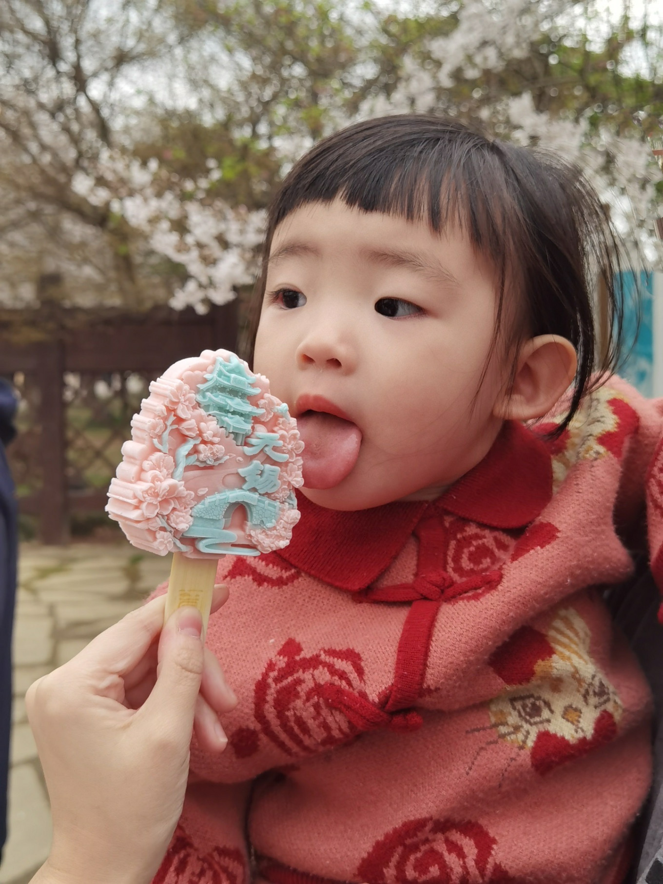 Yuantouzhu Cherry Blossom Park: Discover Wuxi’s Hidden Sakura Wonderland