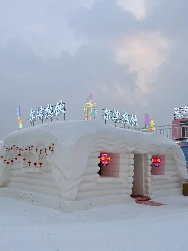 3-Day Harbin Itinerary: My Winter Trip Highlights & Tips
